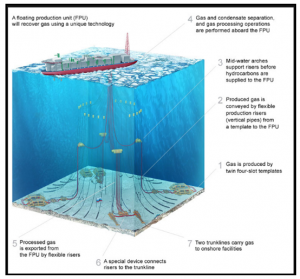 Field Development Phase