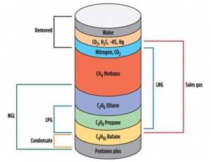 Floating LNG (FLNG) Technical Challenges and Future Trends - Oil & Gas ...
